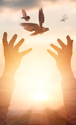 Prayer Card Themes – Prayer Cards Tomorrow FL